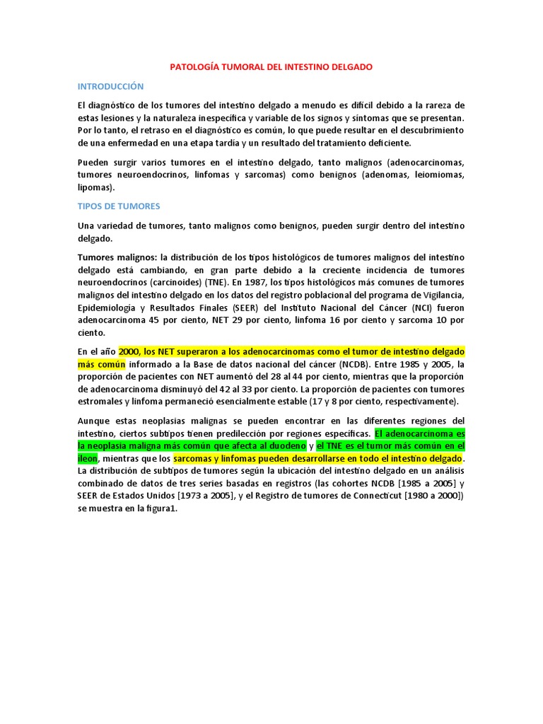 Tumores del intestino delgado: tipos y epidemiología | PDF | Intestino ...