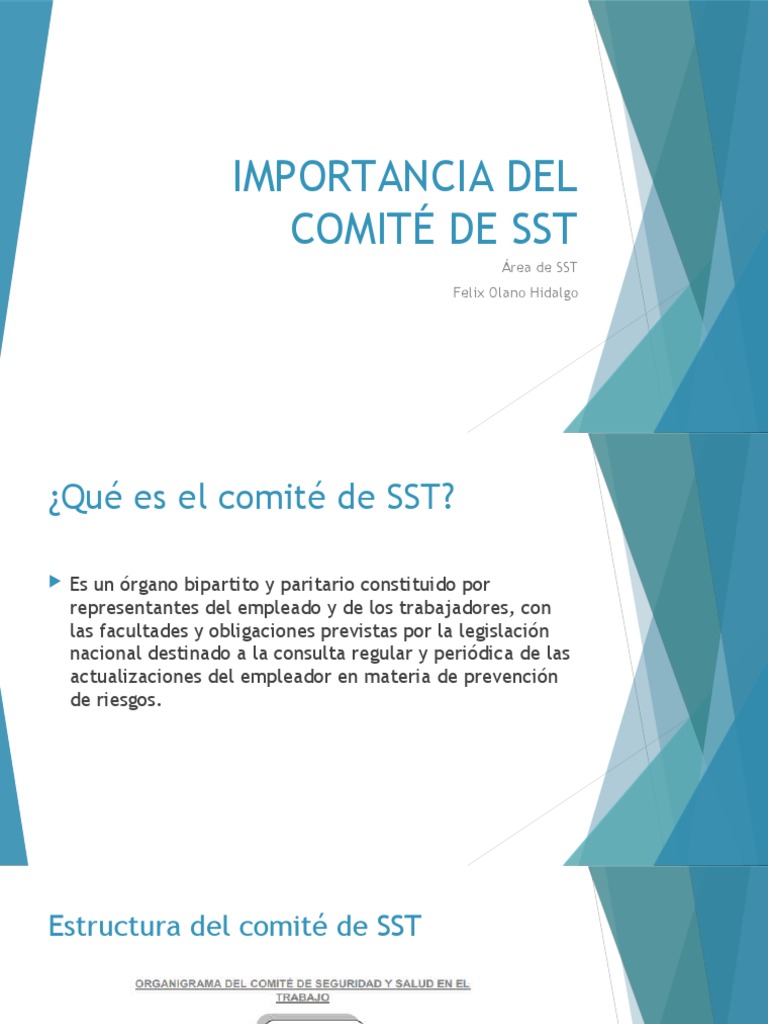 Importancia Del Comité de SST | PDF | Seguridad y salud ocupacional | Bienestar