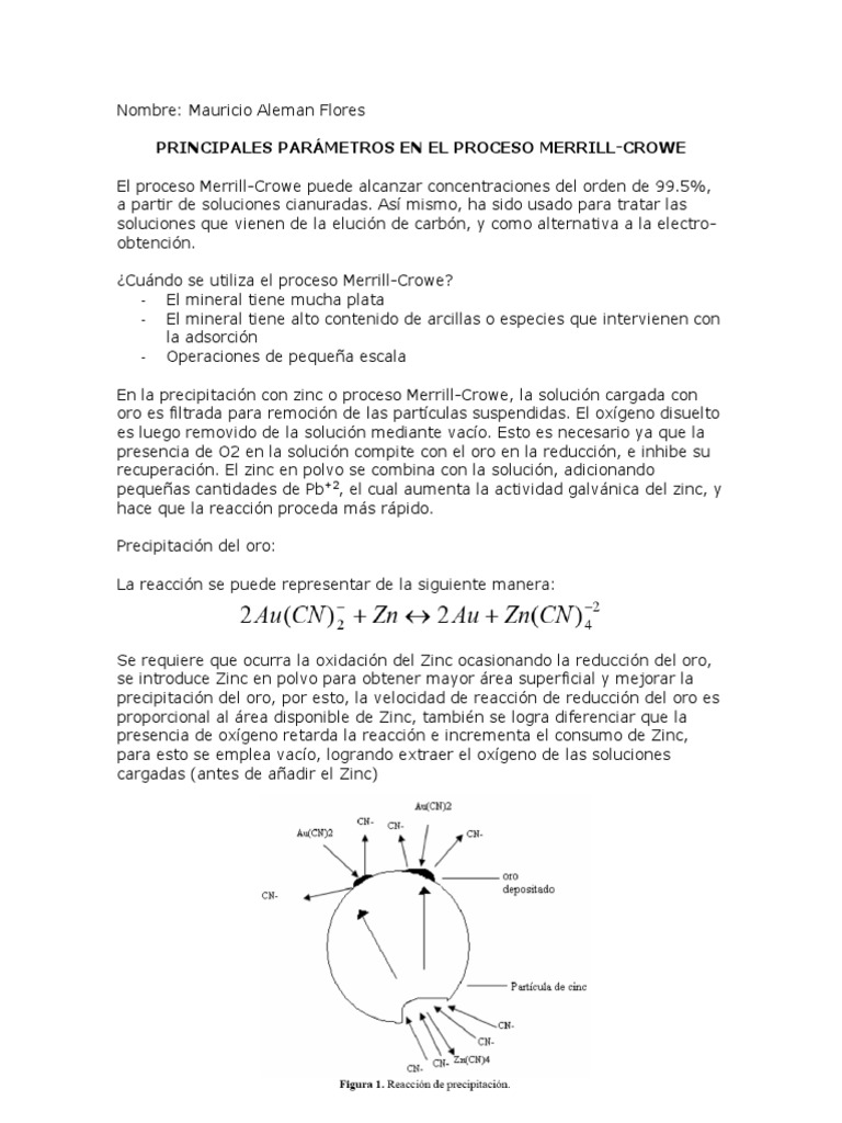 Principales Parámetros en El Proceso Merrill-Crowe | PDF ...