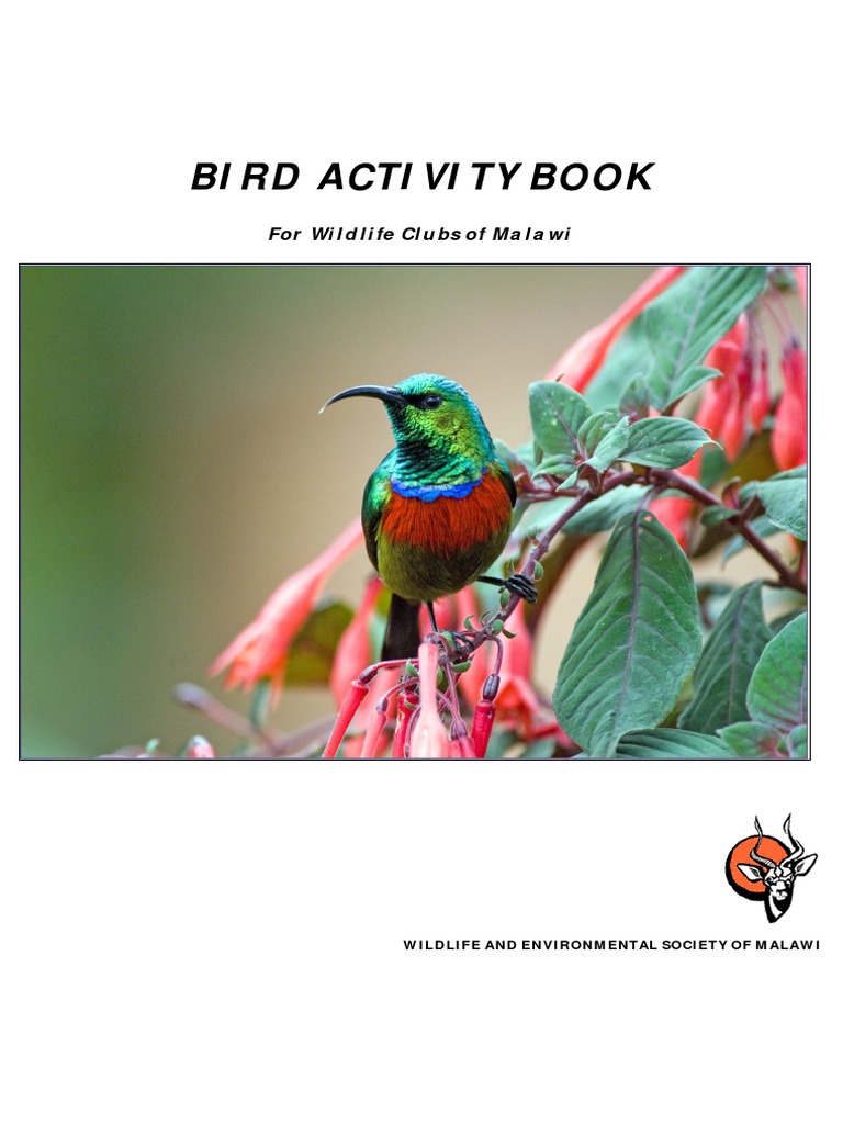 Bird Activity Book for Malawi Clubs | PDF | Birds | Nest