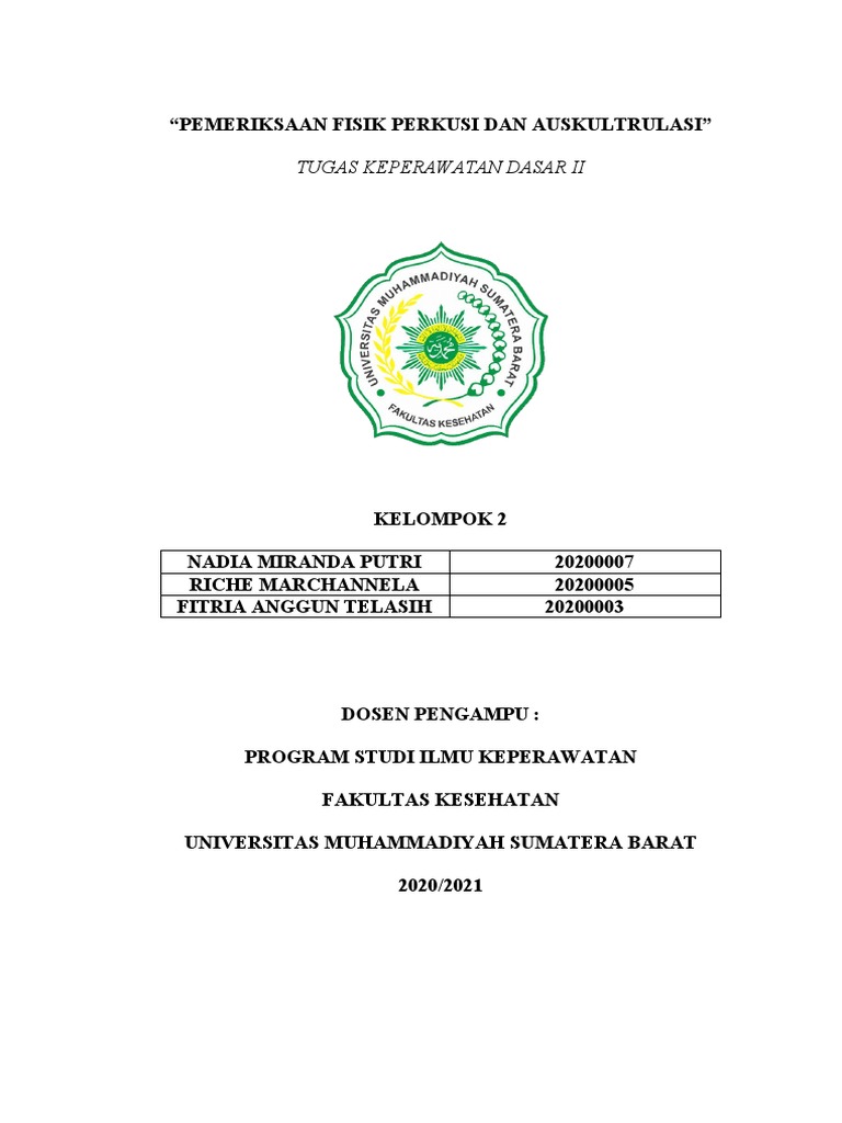 Pemeriksaan Fisik Perkusi Dan Auskultrulasi | PDF