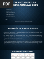 Manual Praat para Fonoaudiólogos | PDF | Sonido | Vocal