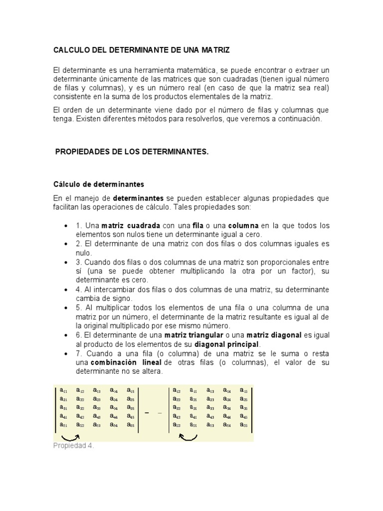 Calculo Del Determinante de Una Matriz | PDF | Determinante | Matriz ...