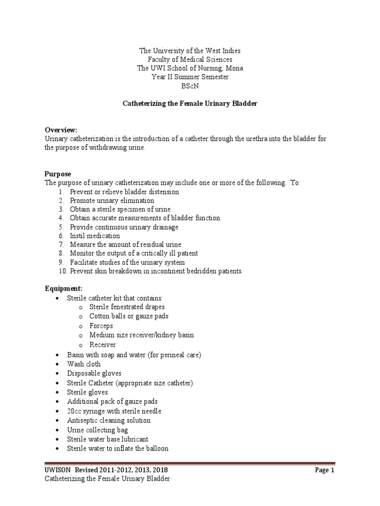 Catheterizing The Female Urinary Bladder | PDF | Urinary Incontinence ...