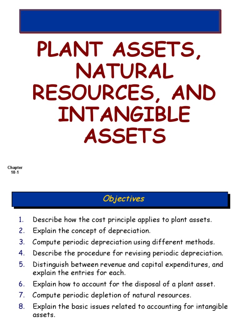 Plant Assets, Natural Resources, and Intangible Assets | PDF ...