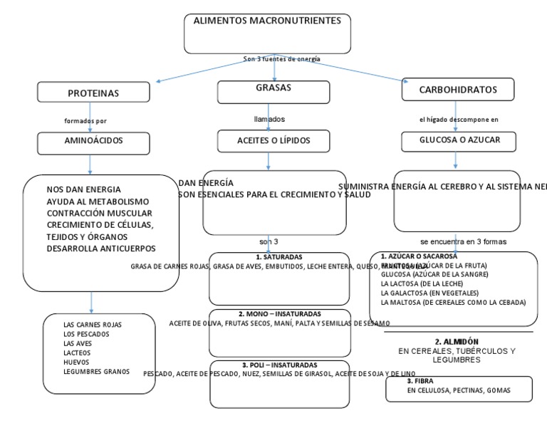 Alimentos Macronutrientes Mapa Conceptual | PDF | Petróleo | Nutrición