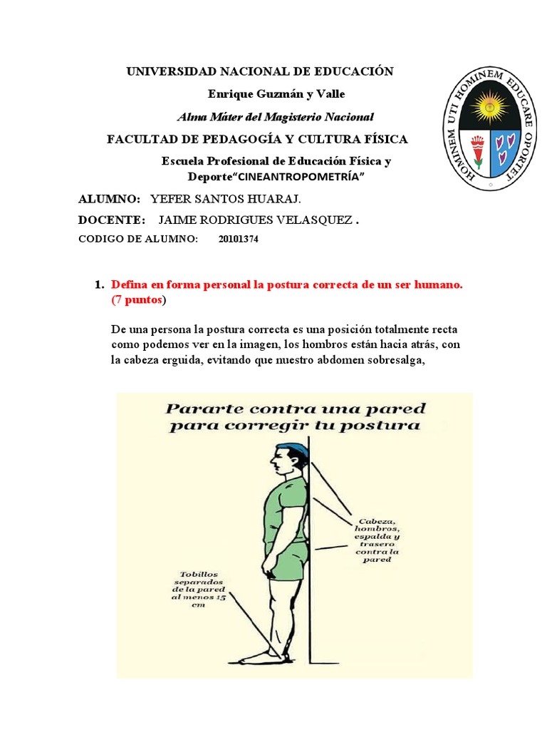 FICHA POSTURAL - Yefer Santos Huaraj | PDF