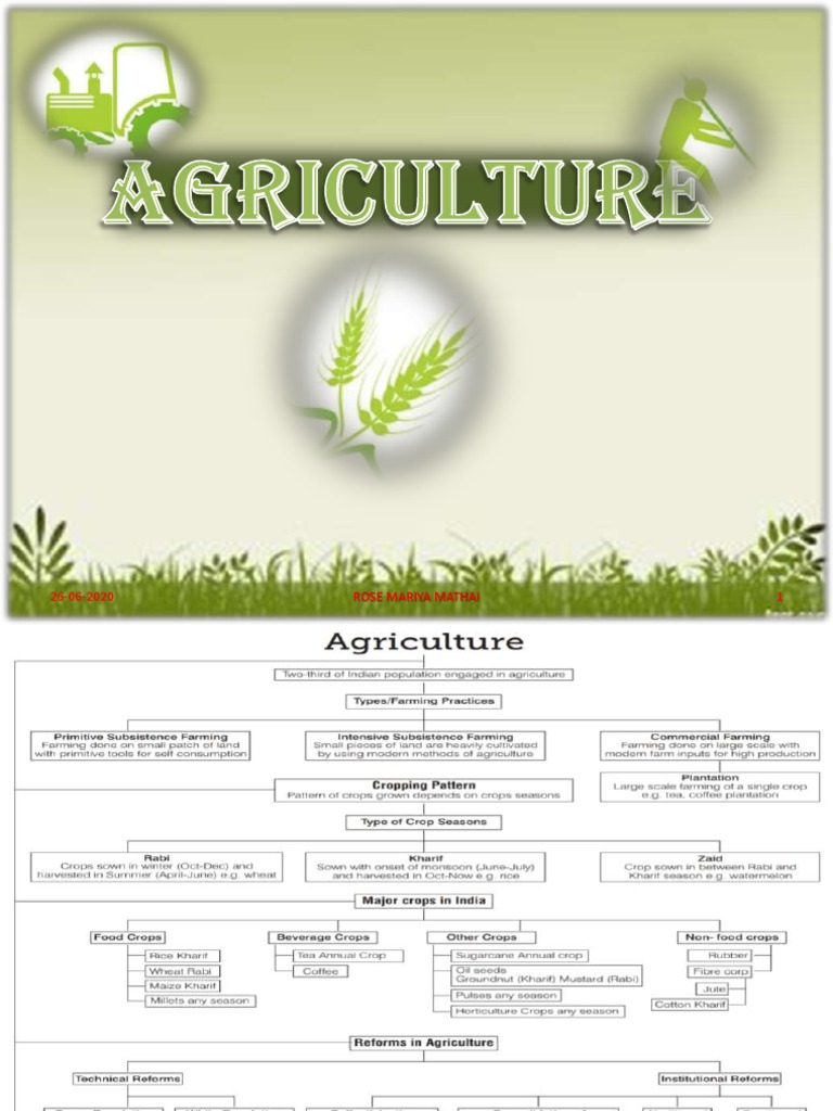 Agriculture | PDF | Legume | Food Security