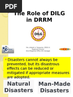 LDRRMC Structure and Functions Overview | PDF | Disaster Risk Reduction ...