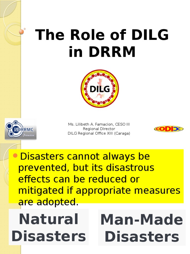 DILG's Role in Disaster Risk Management | PDF | Disaster Risk Reduction ...