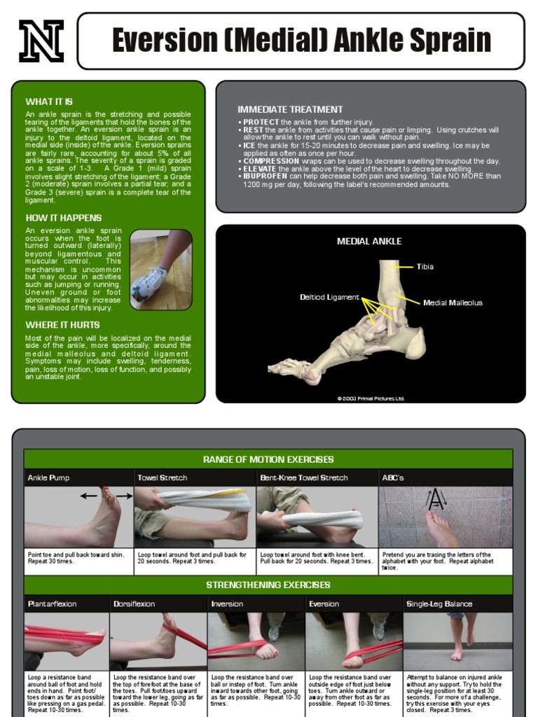 Eversion (Medial) Ankle Sprain: What It Is Immediate Treatment | PDF ...