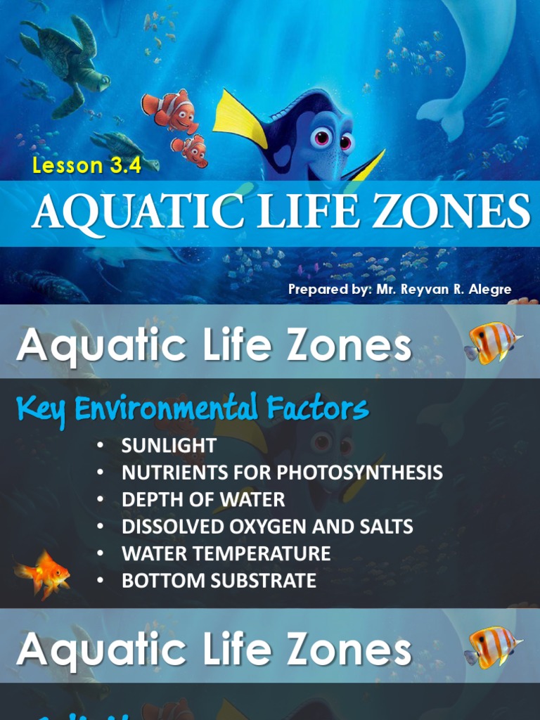 7 C3 Aquatic Life Zones | PDF