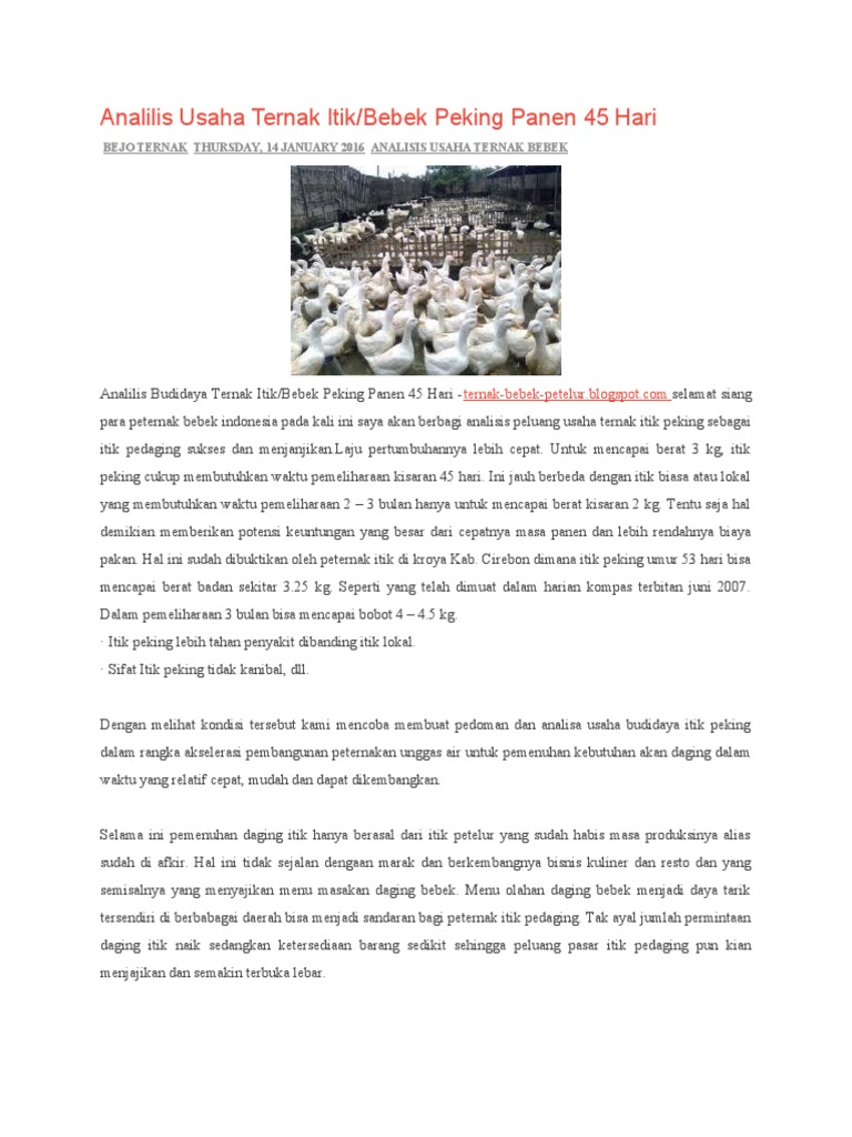 Analilis Usaha Ternak Itik | PDF