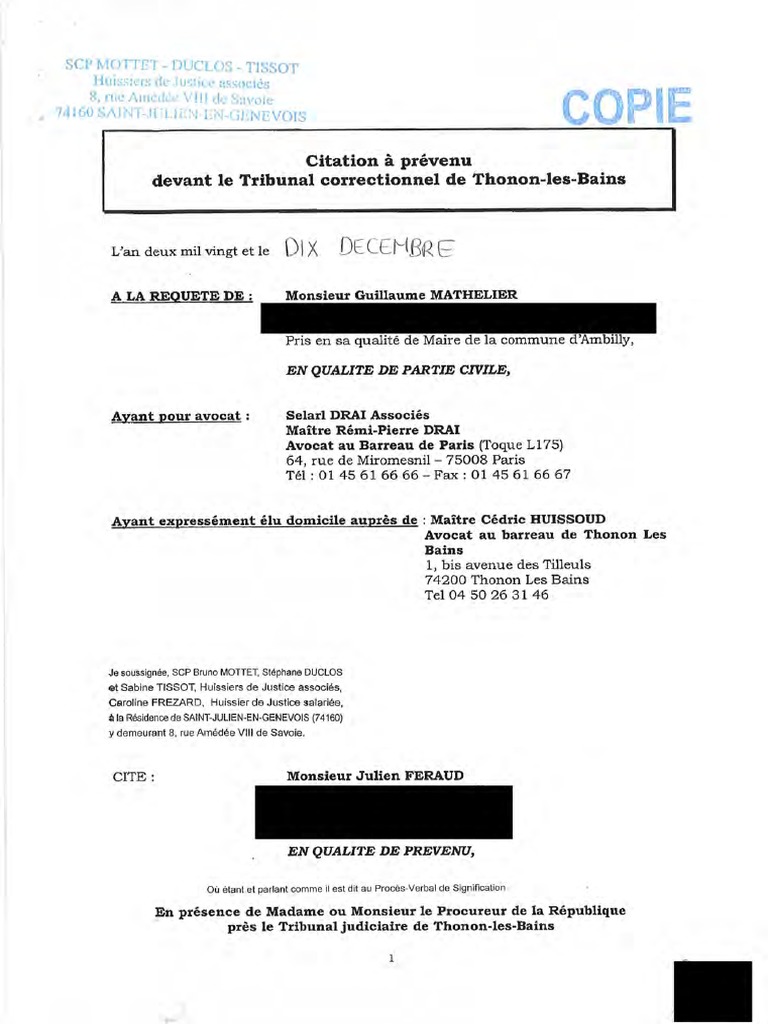 Assignation 10.12 MATHELIER Anonymisée | PDF