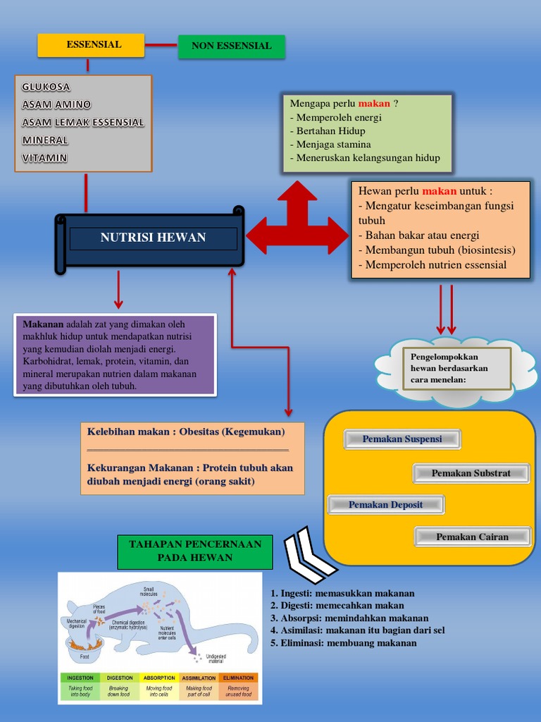 Mind Map | PDF | Kesehatan Holistik