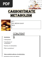 Carbohydrate Metabolism Diagrams | PDF | Biochemistry | Chemistry
