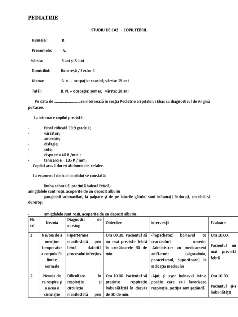 Studiu de Caz Model | PDF