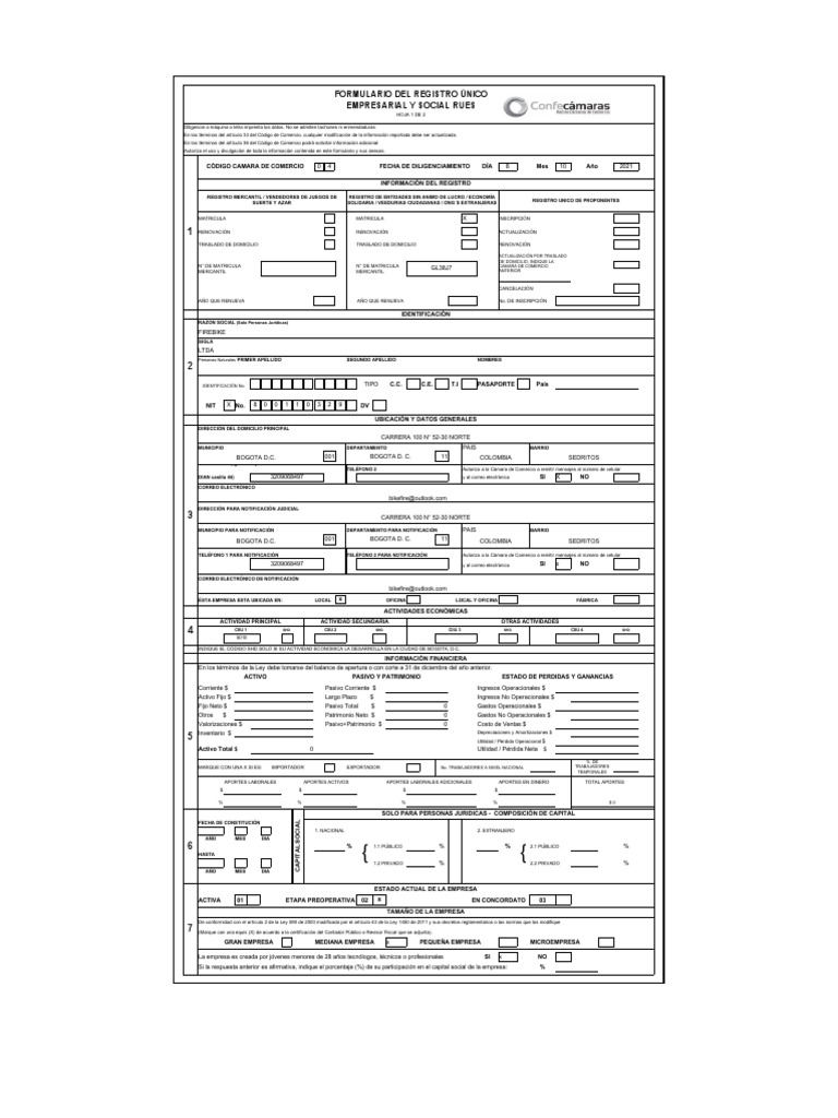 Formulario Del Registro Único Empresarial Y Social Rues | PDF | Bogotá ...