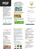 Infografia Del Zorro | PDF