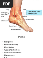 AOFAS Ankle Hindfoot Scale.d5404138 | PDF | Anatomical Terms Of Motion ...