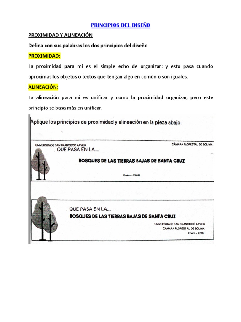 Principios Del Diseño | PDF | Crecimiento personal y profesional | Arte