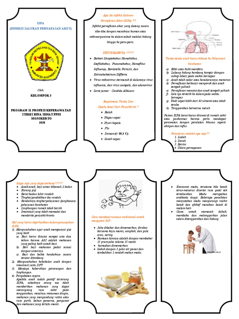 Kep Keluarga Leaflet Ispa | PDF
