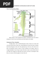 Permanent Slide Preparation Guide | PDF | Histology | Fixation (Histology)