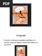 Circunvolución Angular | PDF