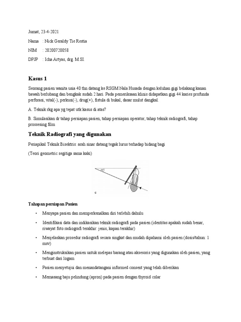 Periapikal Bisektris Posteriorr Bawah | PDF