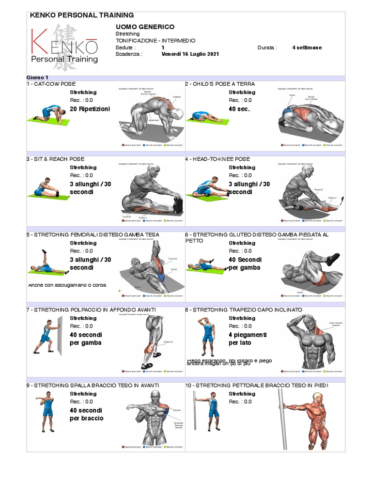 Stretching | PDF