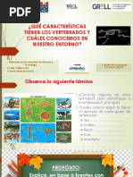 Triptico Los Reptiles | PDF | Reptil | Zoología