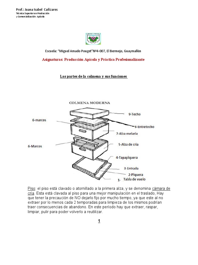 2 Partes de La Colmena y Su Función | PDF | Apoidea | Edificios y ...