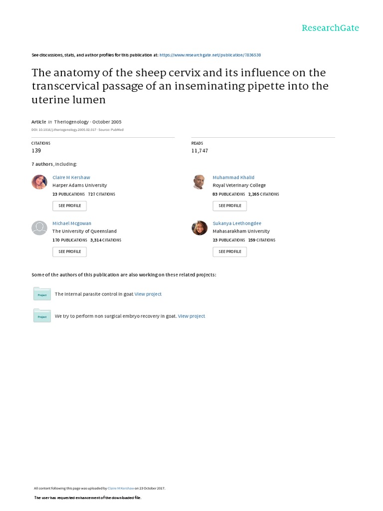 Sheep cervix anatomy influences AI success | PDF | Sheep | Vagina