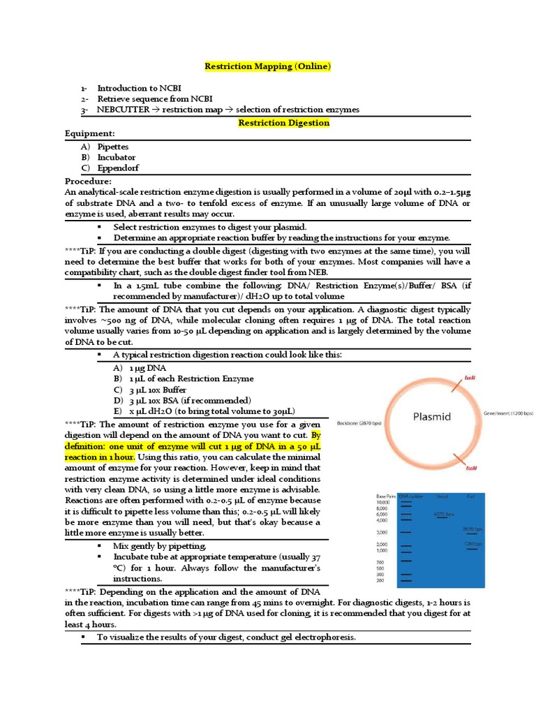 Restriction Mapping | PDF | Dna Ligase | Biotechnology