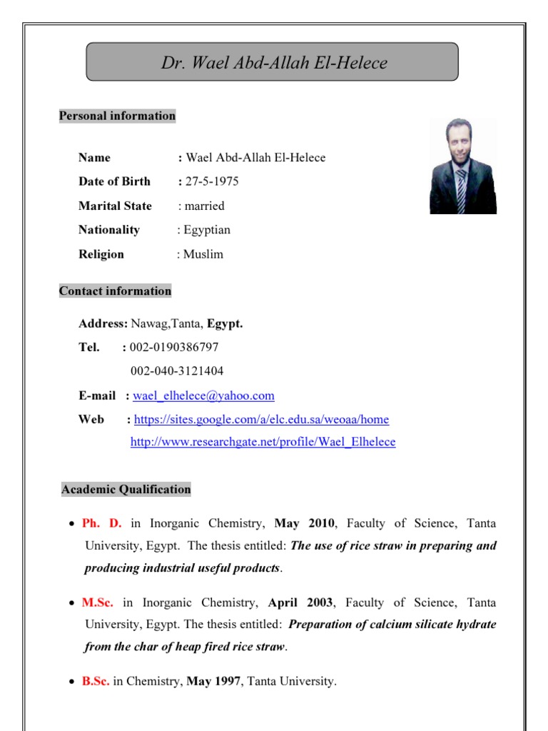 Wael Document Overview | PDF