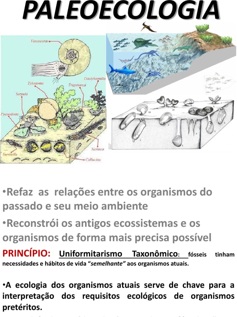 PALEOECOLOGIA e PALEOBIOGEOGR | PDF | Ecologia | Biogeografia