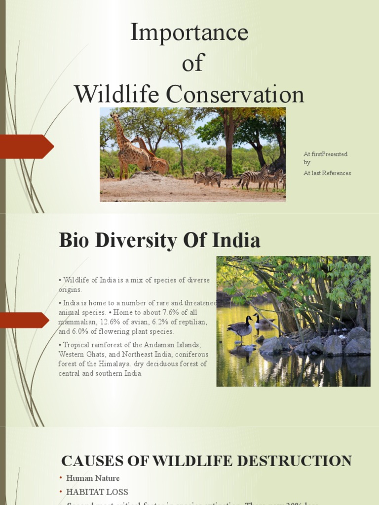 Importance of Wildlife Conservation: at Firstpresented by at Last ...