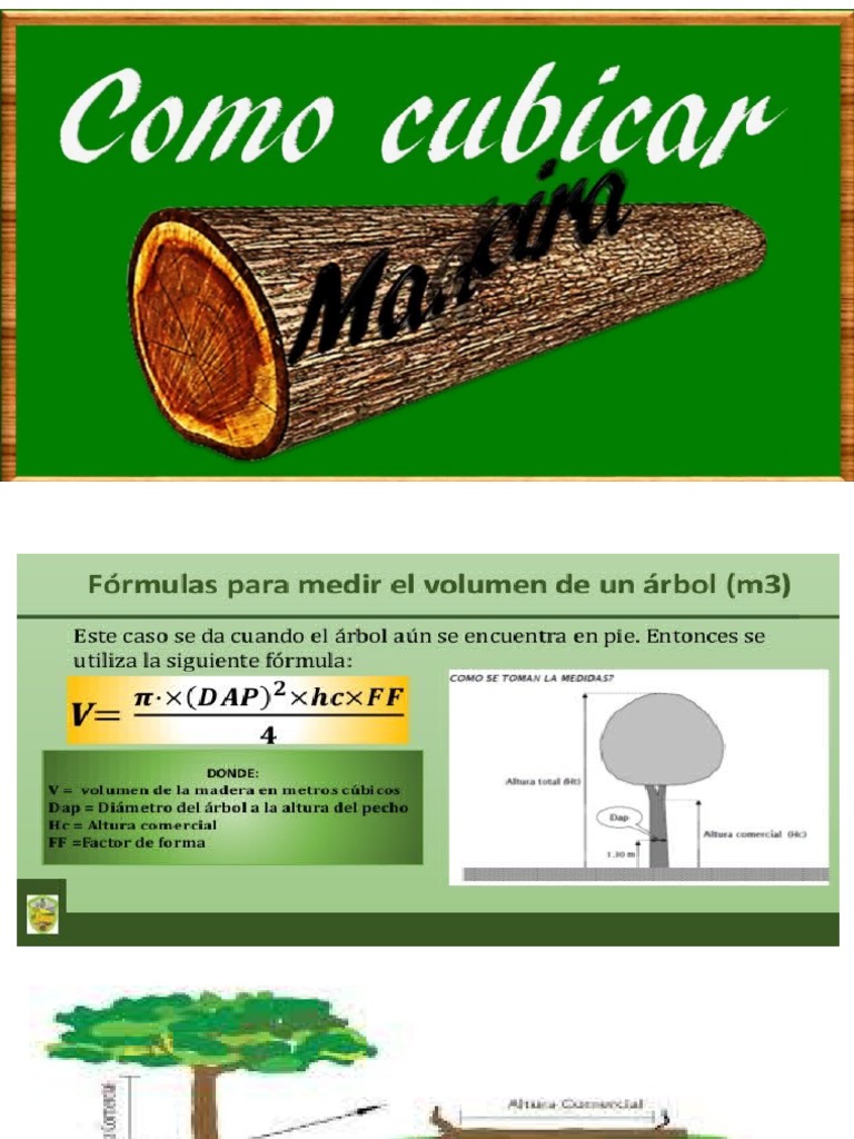 Cubicacion de Madera | PDF | Pie (unidad) | Volumen