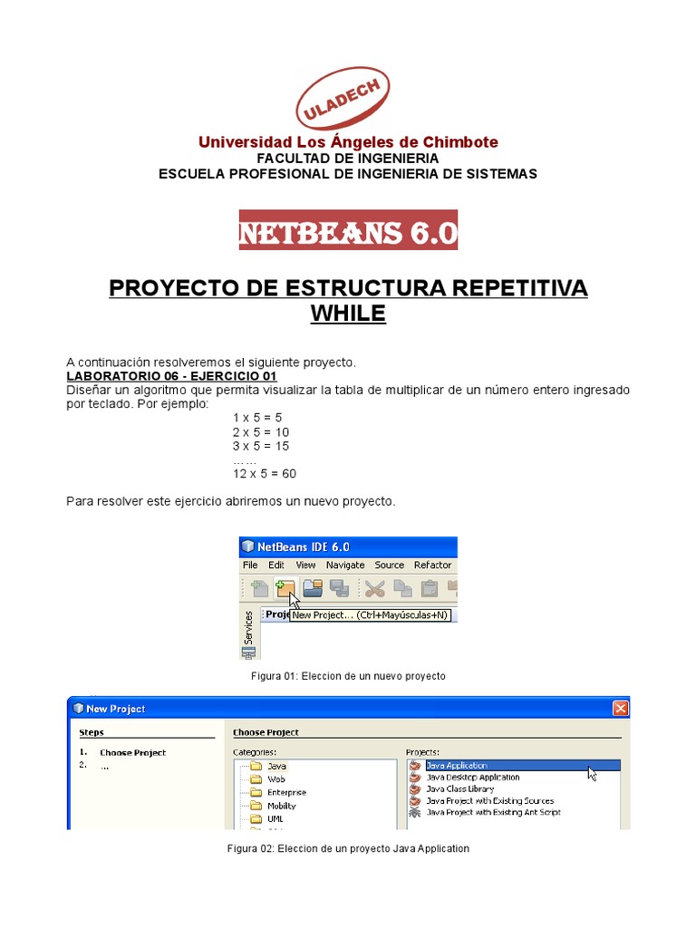 Proyecto de Estructuras Repetitivas While | Descargar gratis PDF | Java (lenguaje de ...