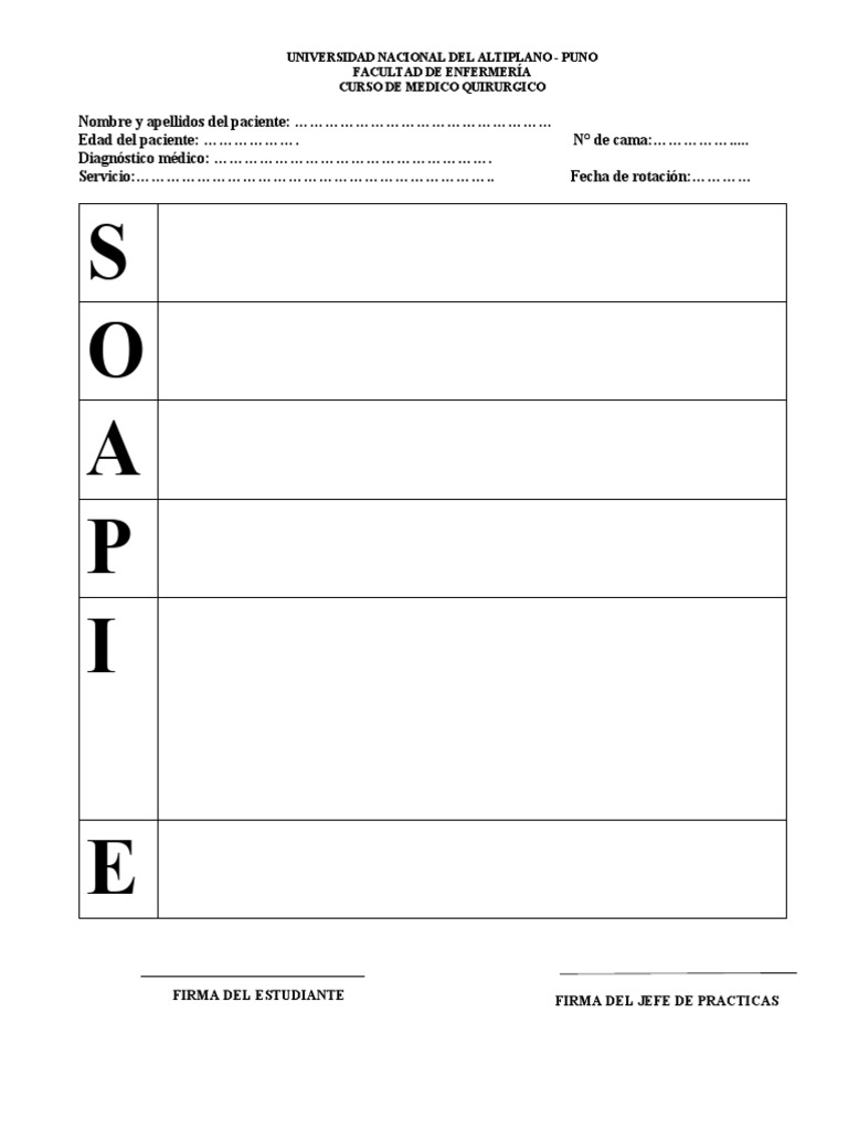 Formato de SOAPIE | PDF