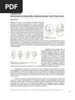 Protocolo ROSE en Fluidoterapia UCI | PDF | Vena | Medicina de Cuidados ...