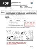 Ficha Técnica Del Pasto Imperial (Axonopus Scoparius, Hitchc) | PDF ...