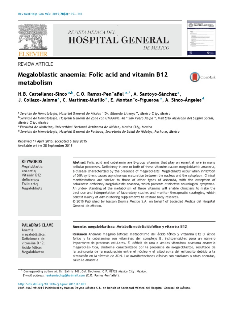 Megaloblastic Anaemia: Folic Acid and Vitamin B12 Metabolism | PDF ...