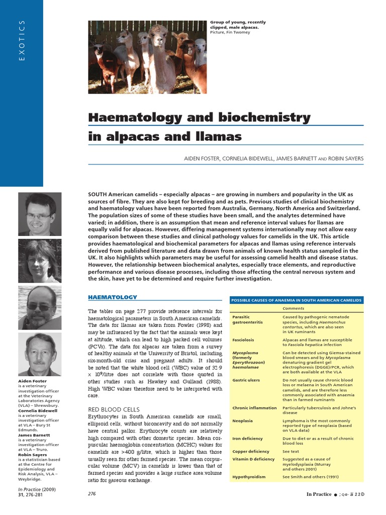 Haematology and Biochemistry in Alpacas and Llamas: Red Blood Cells ...