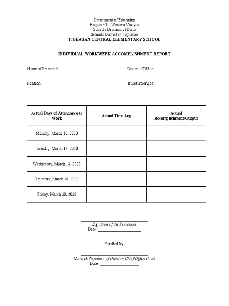 Individual Workweek Accomplishment Report | PDF