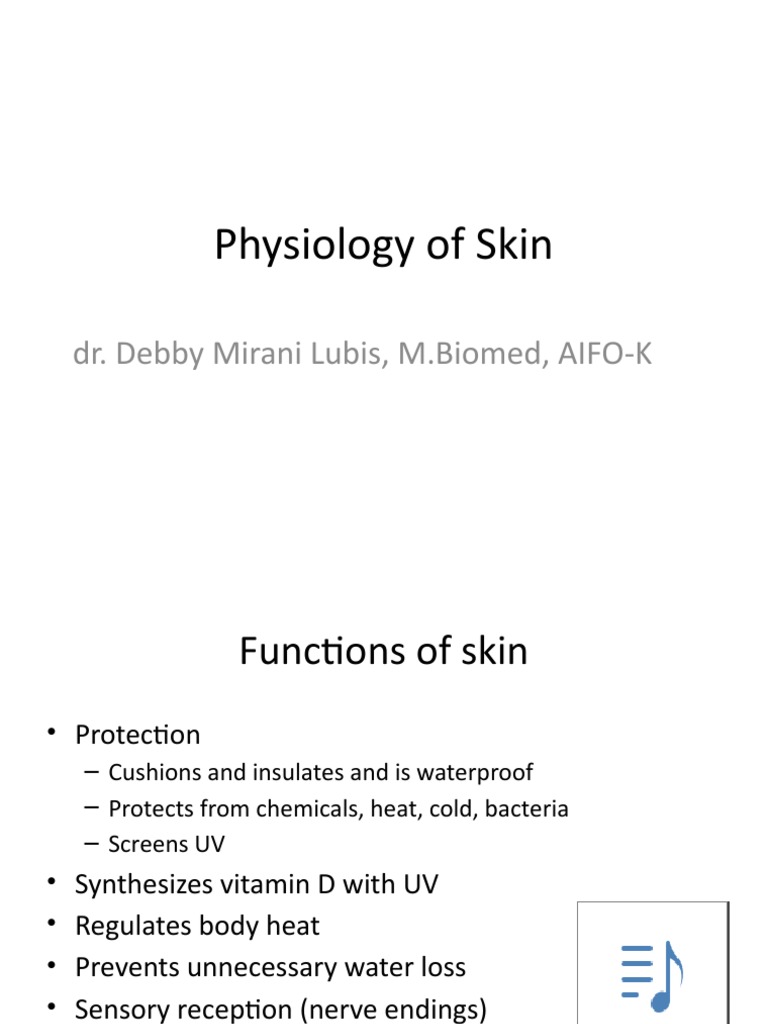 Physiology of Skin | PDF | Skin | Epidermis