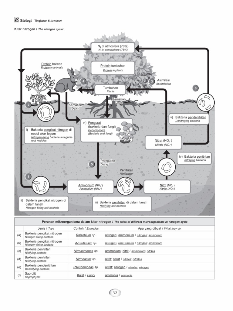 Nota Kitar Nitrogen | PDF
