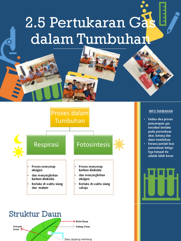 2 5 Pertukaran Gas Dalam Tumbuhan Pdf