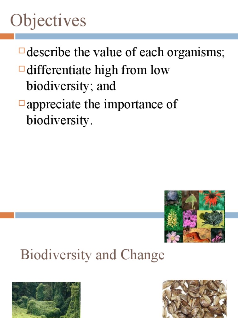 Biodiversity (High & Low) | PDF | Disturbance (Ecology) | Biodiversity