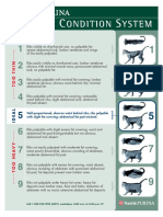 Canine Body Condition Scoring Guide | PDF | Abdomen | Vertebral Column